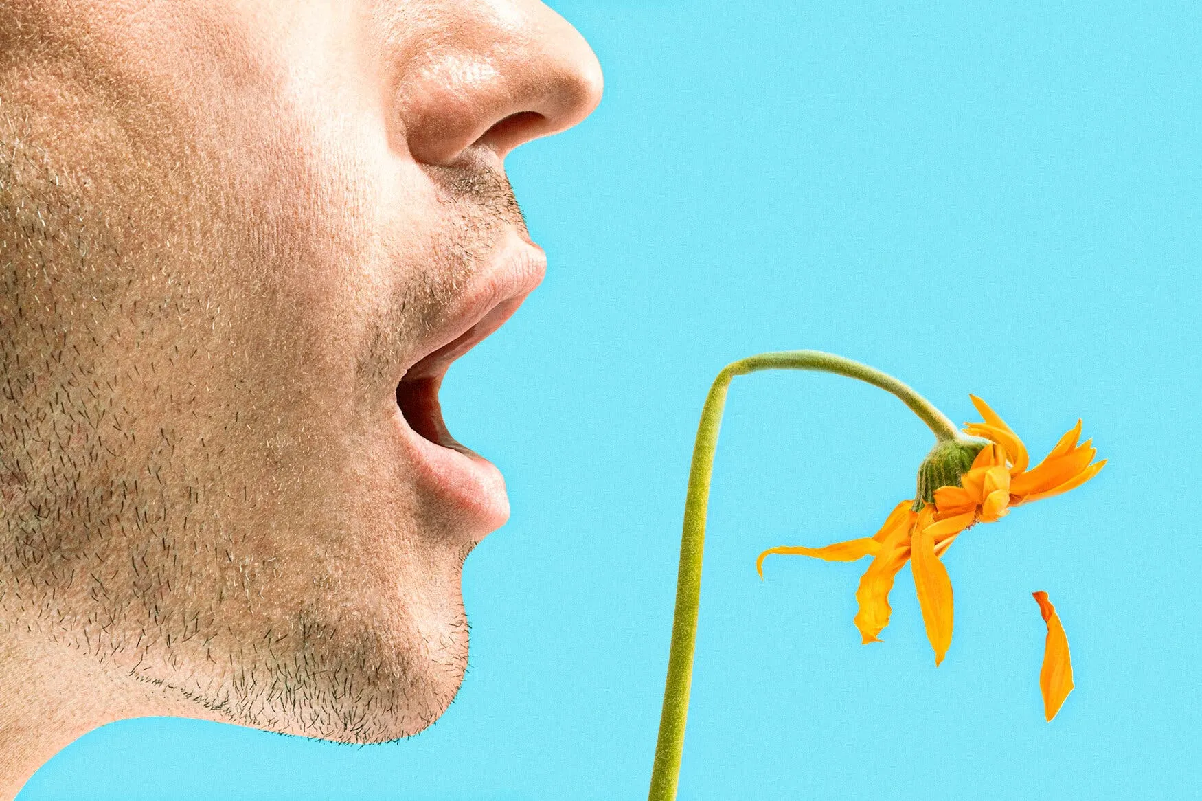 Mauvaise haleine : causes, solutions et traitements - tangerbay.ma